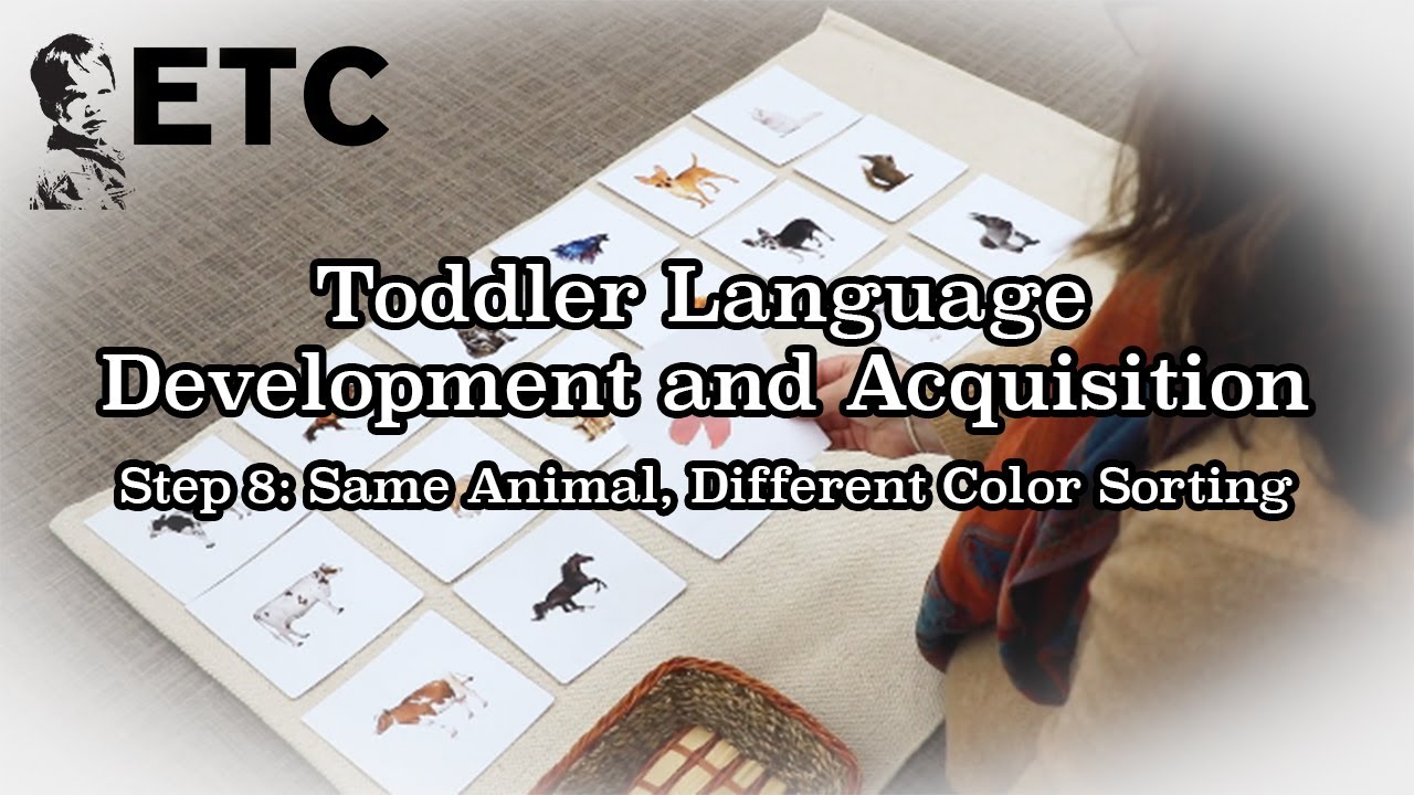 Step 8 Same Animal Different Color Sorting - YouTube