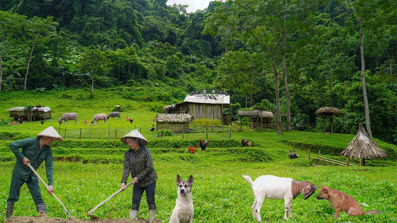 Full video/ 120 days: Building a Farm. Growing - Raising Livestock ...