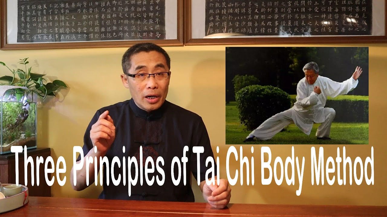 Hai Yang's Practice Proverb Series (13) Three Principles of Tai Chi Body Method - YouTube