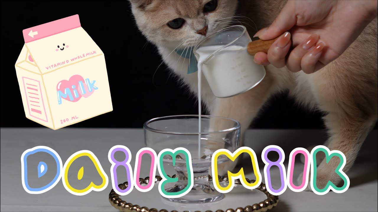Daily Milk - YouTube