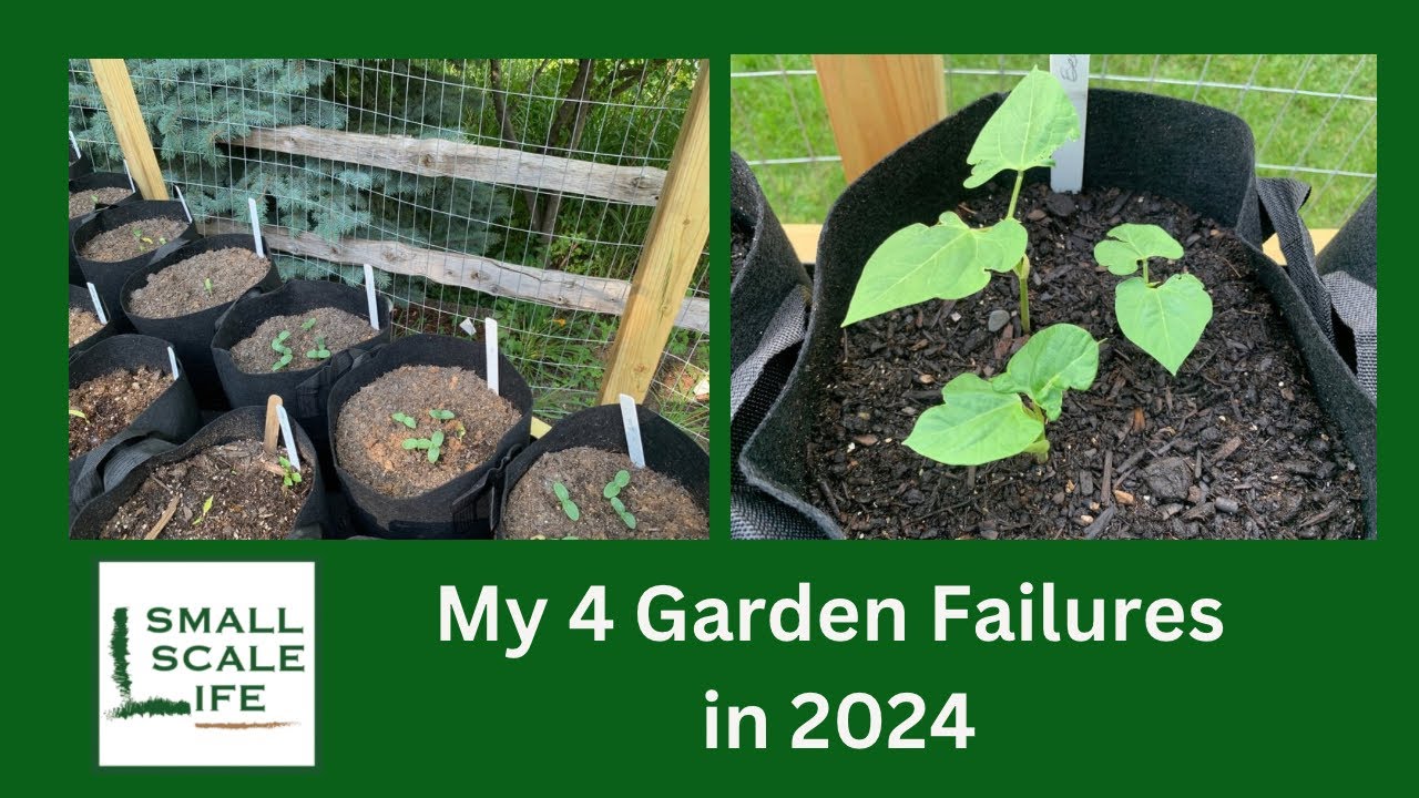 My 4 Garden Failures in 2024 and Improved Self-Watering Planters #diy ...