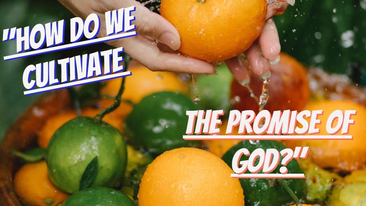 "The Danger of Unfulfilled Promises" - YouTube