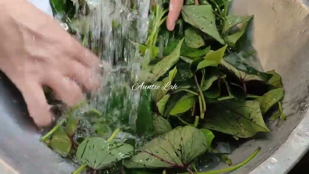 Camote Tops - YouTube