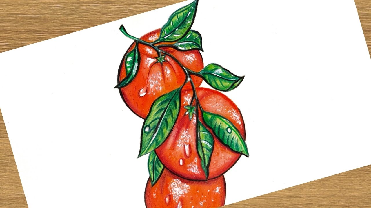 How to Draw Oranges step by step || Realistic pencil colour drawing ...