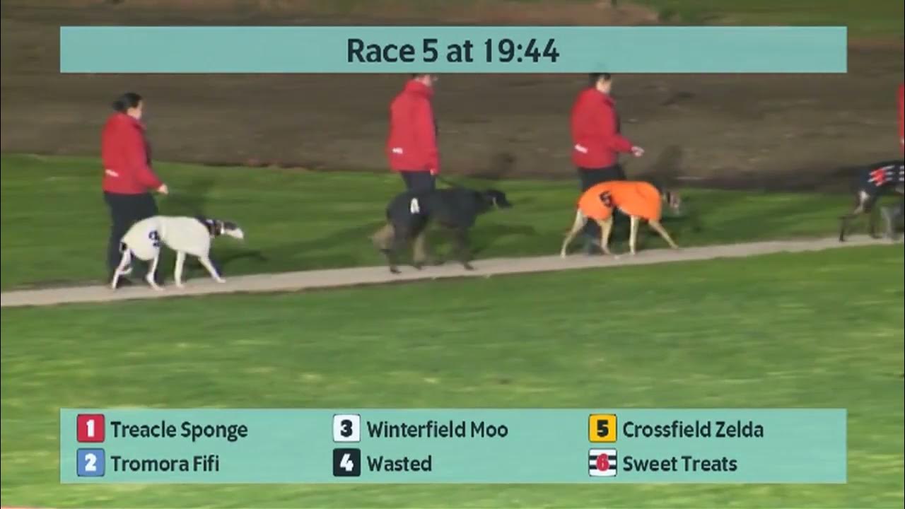 Monmore Greyhounds Races on 23rd March 2024 - YouTube Monmore Greyhounds Races on 23rd March 2024 - YouTube