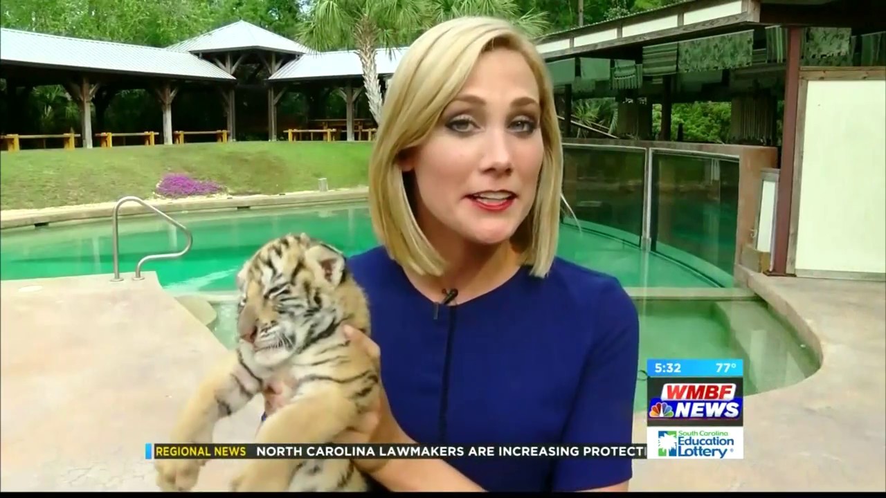 Big Cat Bill | Myrtle Beach Safari - YouTube
