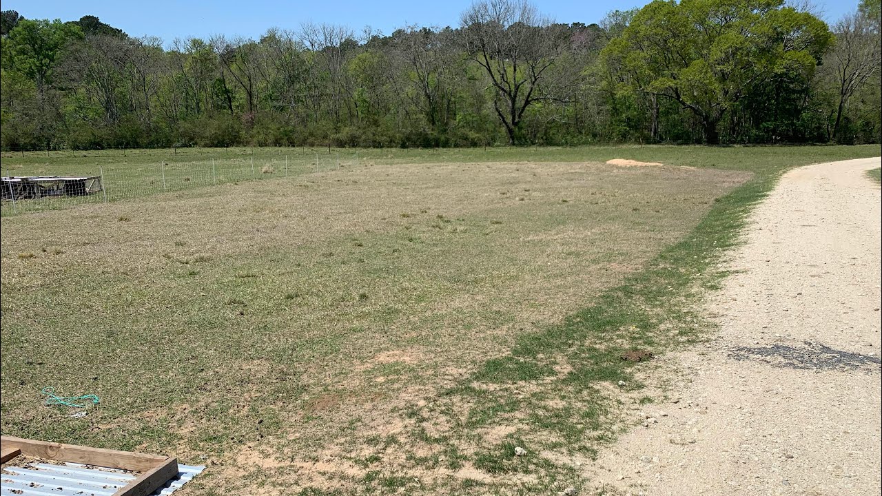 Rotating Goat Pastures With Premier 1 Netting - YouTube