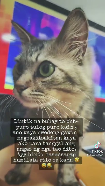 Wala akong magawa tenga saan ba maka puesto dito nalang ..jajaja - YouTube