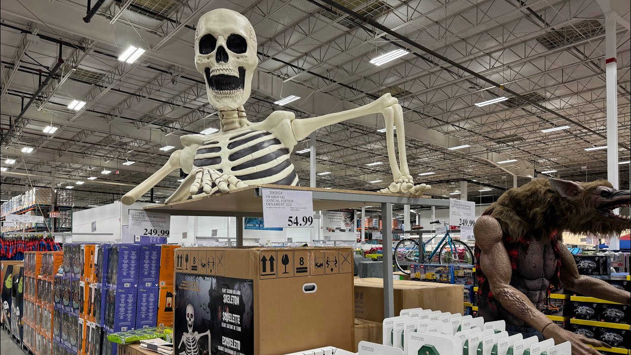 Costco Ground Breaking Skeleton in stock! #Costco #Halloween #Skeleton ...