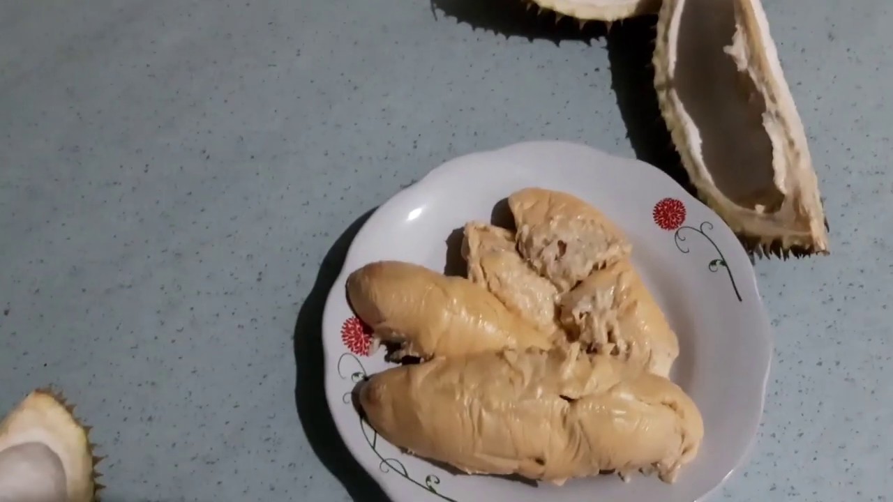 Durian Tangse memang beda, lain dengan yang lainnya - YouTube