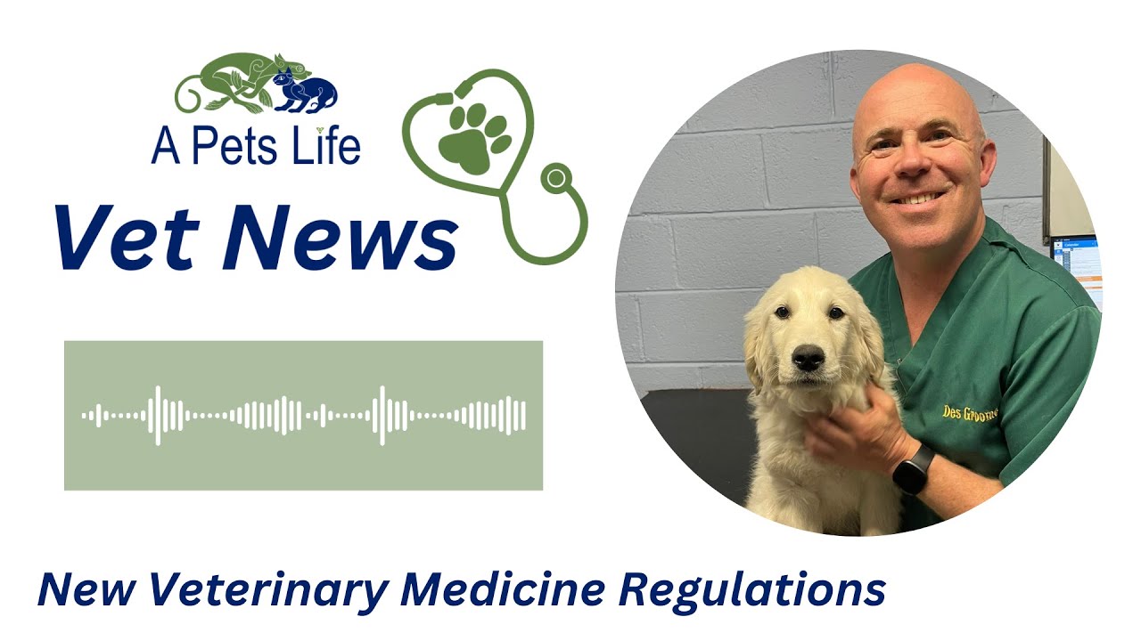A Pets Life Vet News - New Veterinary Medicine Regulations - YouTube