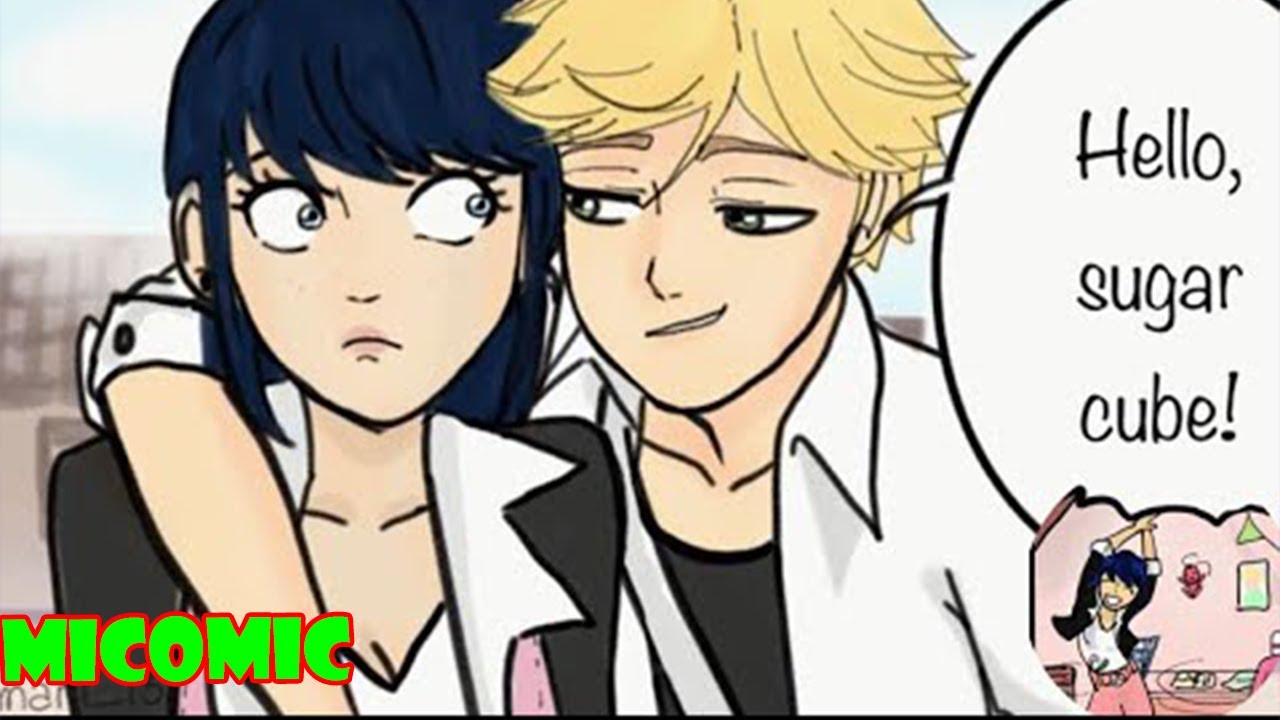 Unlucky Charm Part 1 Miraculous Ladybug Comic Dub - YouTube