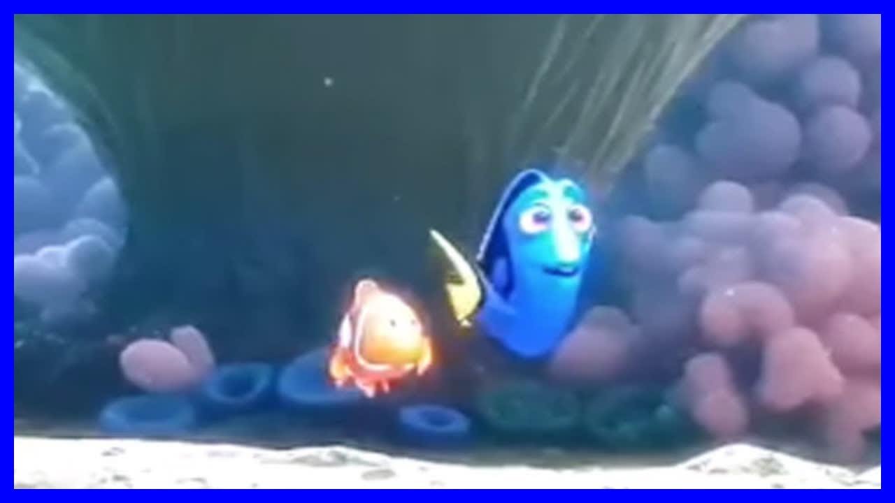 Finding Dory has an outrageous X-rated ending in Sweden - YouTube