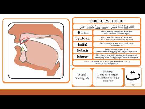 Tahsin Huruf Ta' Belajar Makhroj dan Sifat Huruf - YouTube
