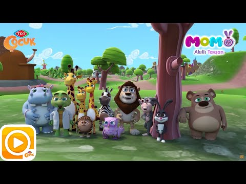 Akıllı Tavşan Momo | Kiki Model Arıyor