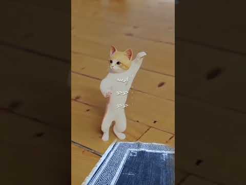 SÜPERSİN KEDİ♥️#shortvideo #pets #cat #viralvideo #komikvideolar #humor #memes #cute