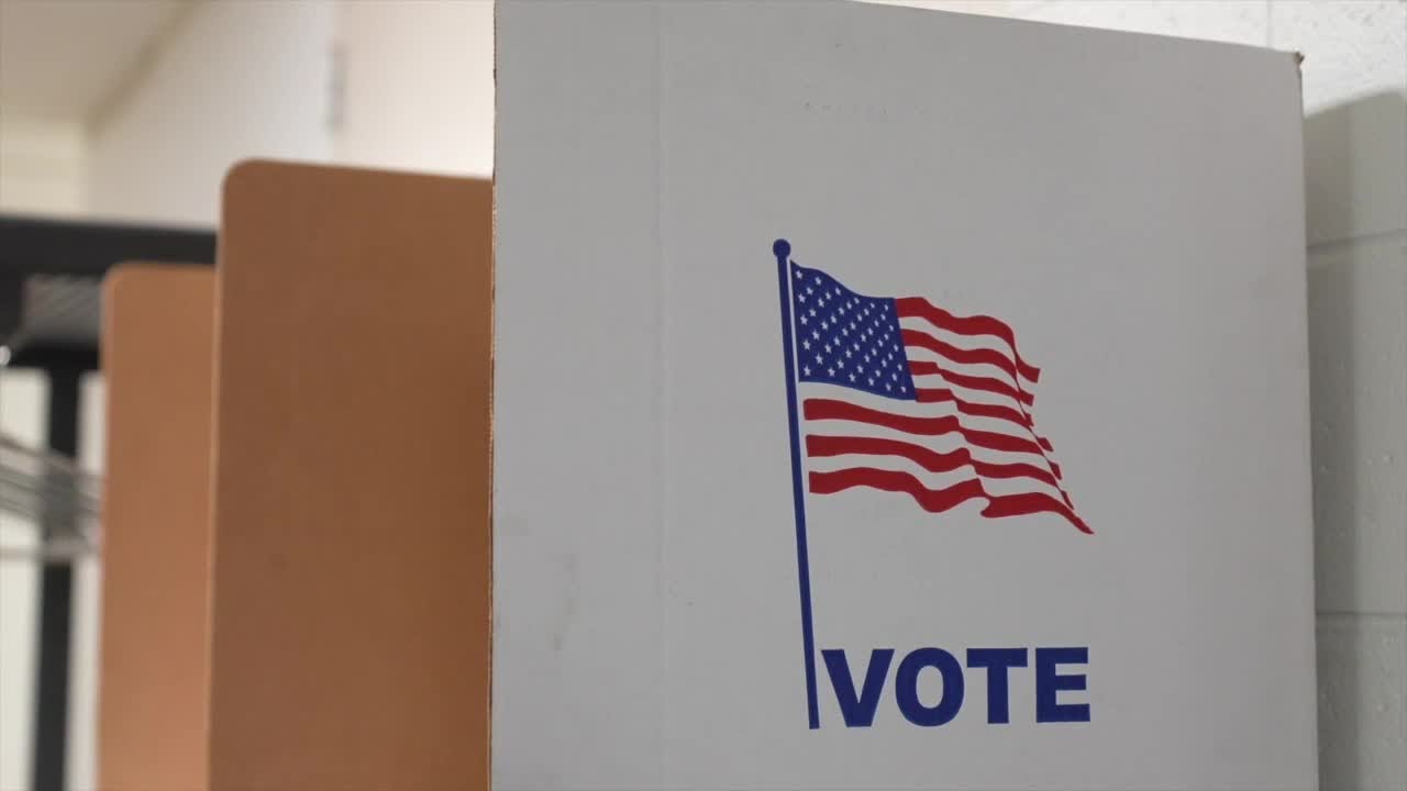 Ingham County clerk talks about long voting lines at MSU - YouTube