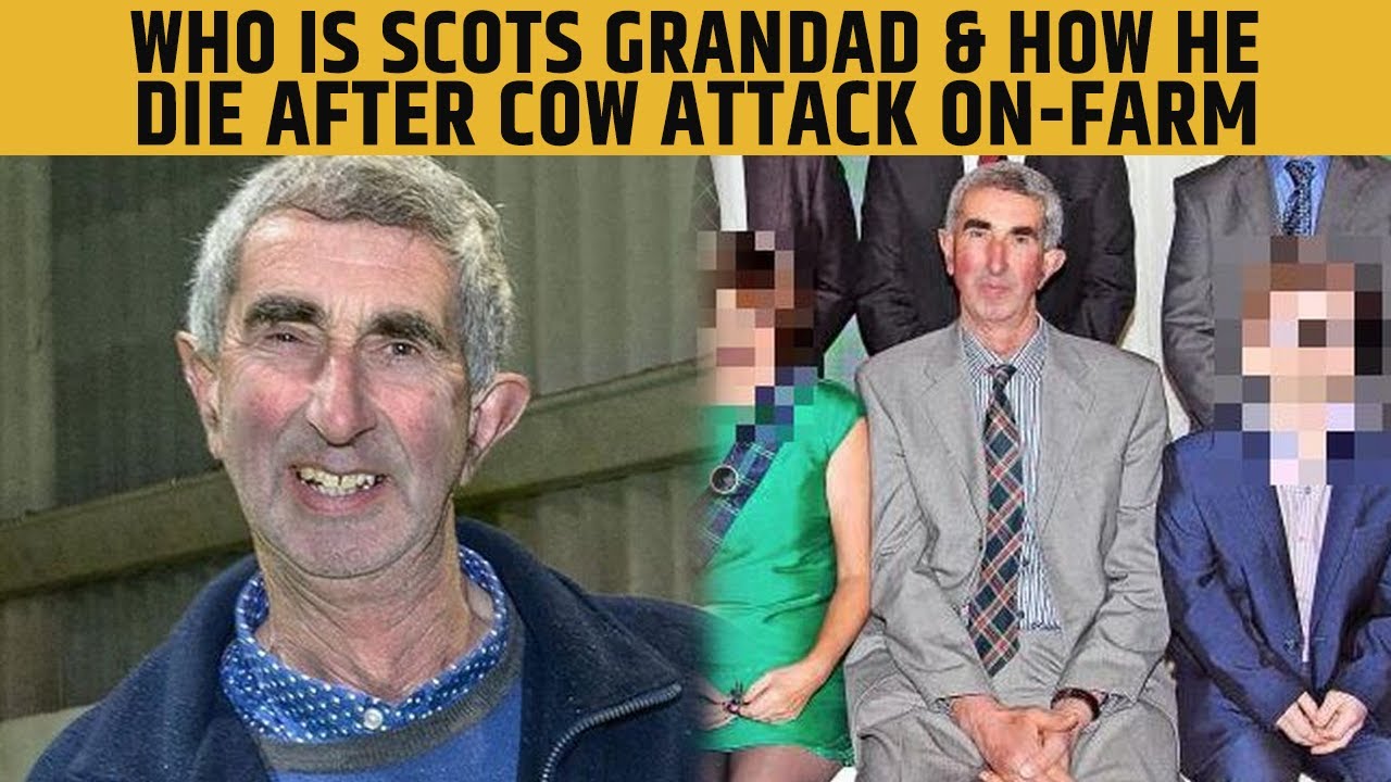 Who Is Scots Grandad & How He Die After Cow Attack On-Farm | Derek Roan ...