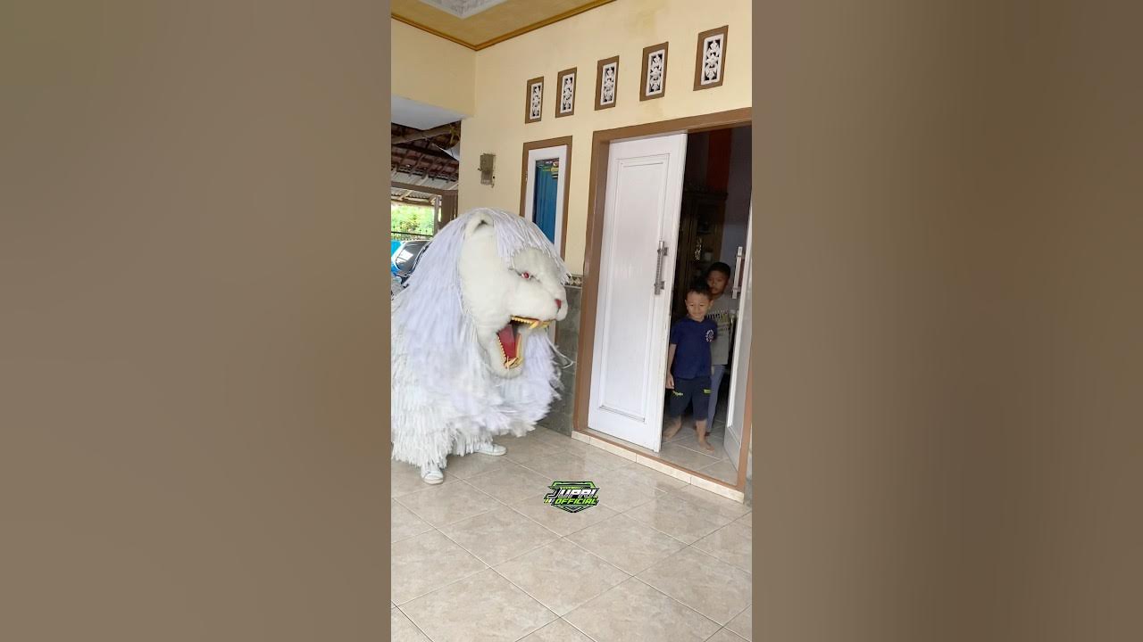 Bocil kaget ada Can Macanan sampai jatuh pas keluar - YouTube