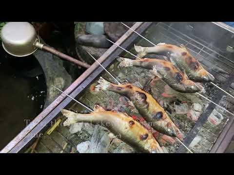 How to skewer, chargrill and cook Ayu, sweet fish with rice.鮎の炊き込みご飯 ...