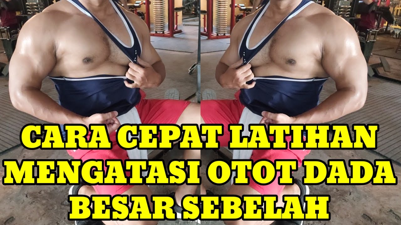 CARA CEPAT LATIHAN MENGATASI OTOT DADA BESAR SEBELAH @muscleerfans7458 ...