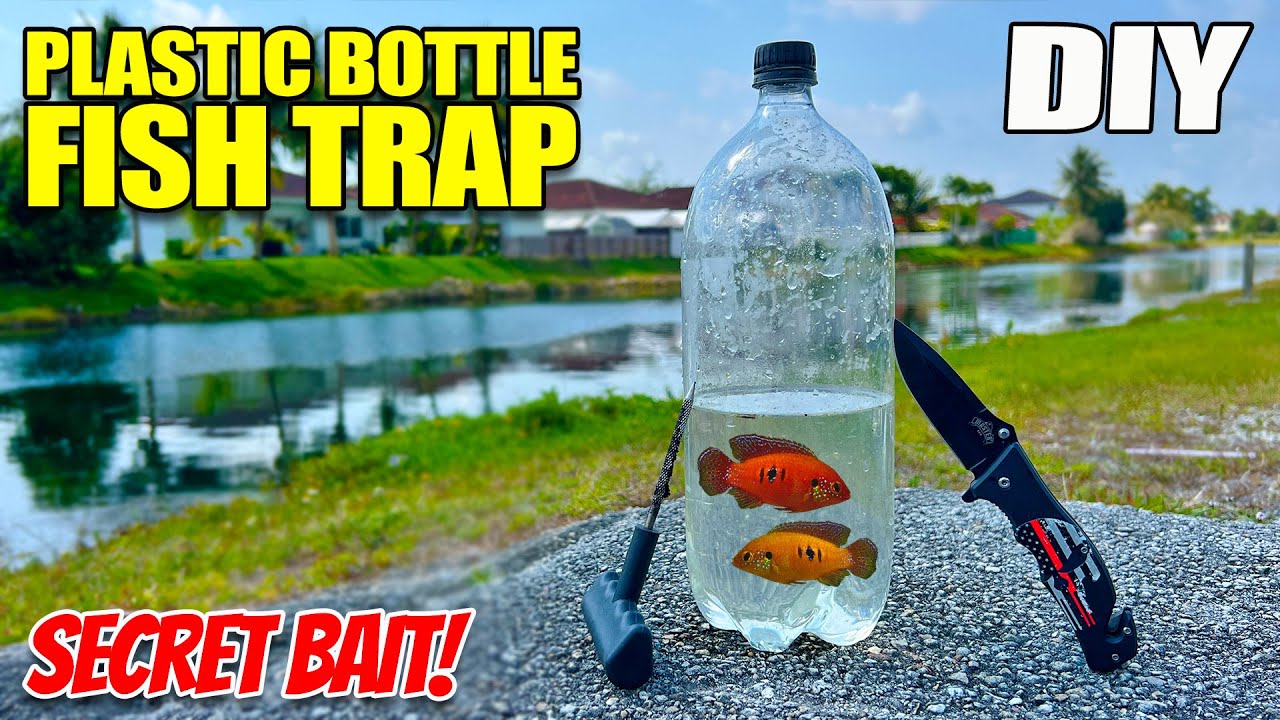 DIY Plastic Bottle Fish Trap Works! - YouTube
