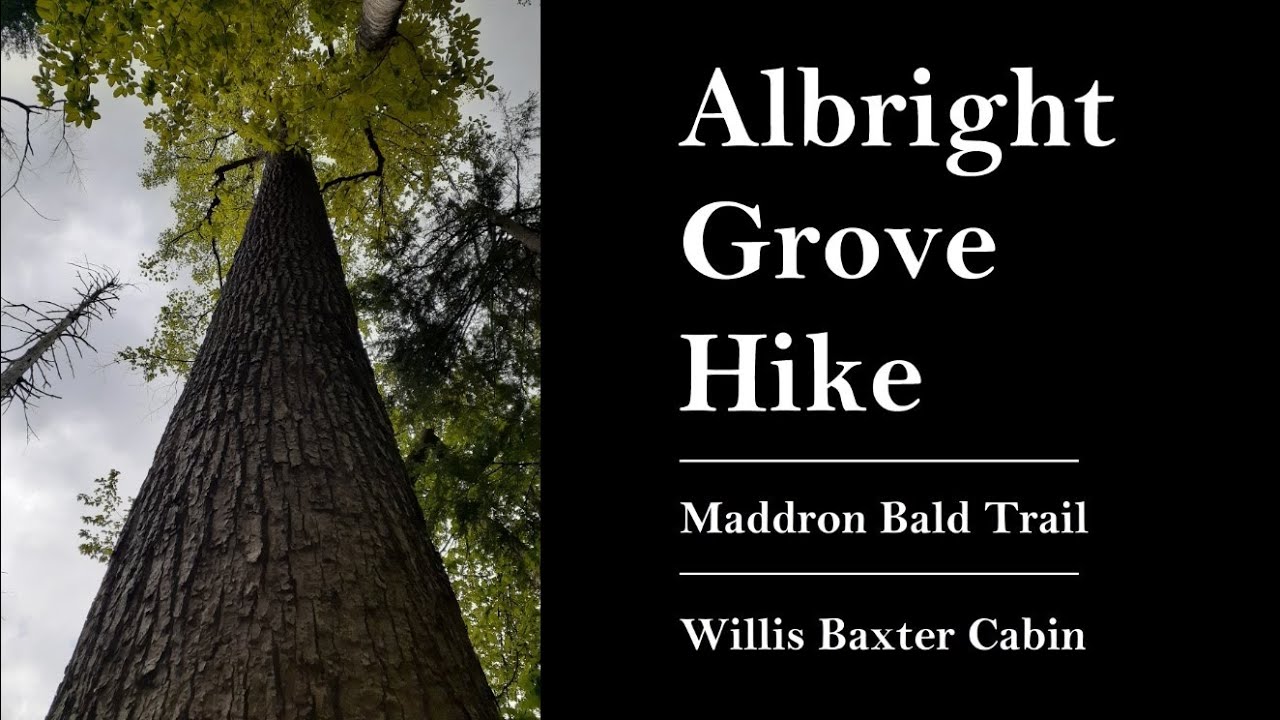 Albright Grove Hike: May 13, 2021 - YouTube