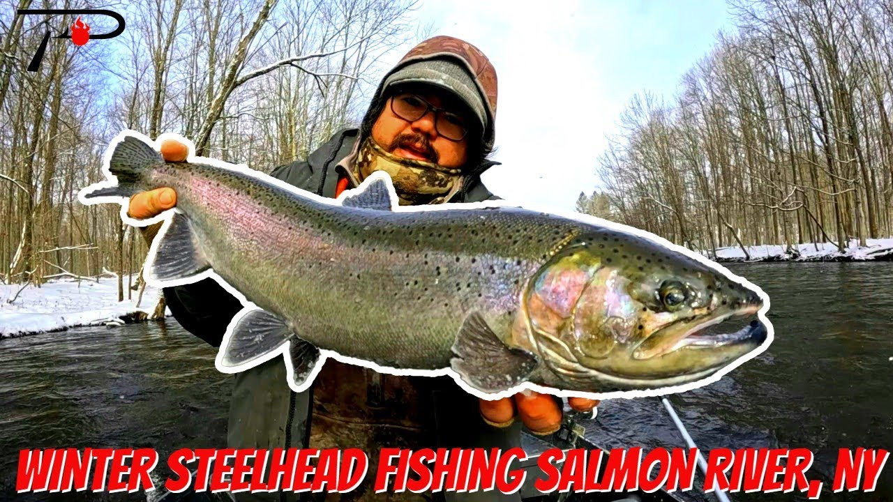 Winter Steelhead Fishing On New York's Salmon River - YouTube