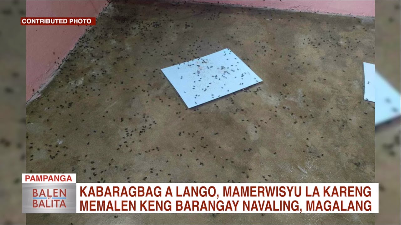 Kabaragbag a lango, mamerwisyu la kareng memalen keng Barangay Navaling ...