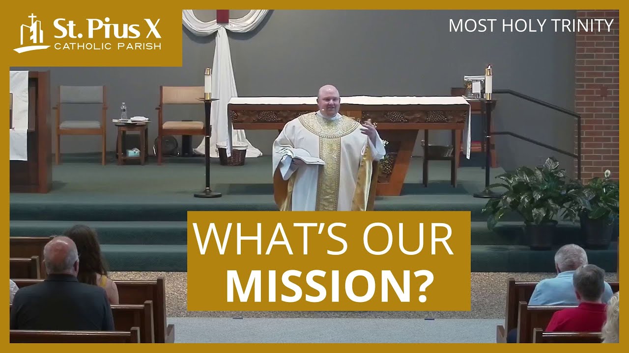 Signs and Wonders | The Most Holy Trinity ~ Catholic Homily - YouTube