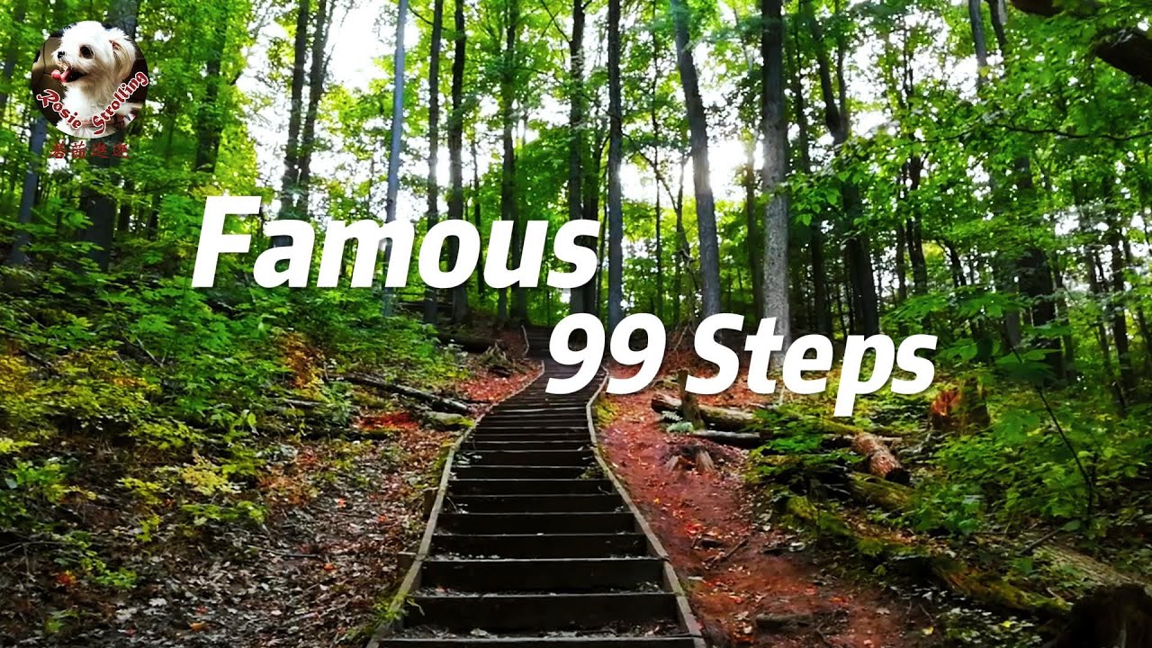 🇨🇦 Famous 99 Steps, Toronto 小有名气的99级台阶栈道 森林氧吧 徒步首选 - YouTube