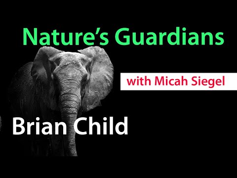 Brian Child on a new model for Africa - YouTube