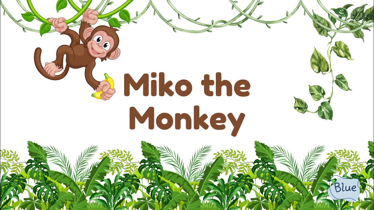 Miko the Monkey 🙈🙉🐵 | Educational Kids Storytimes - YouTube