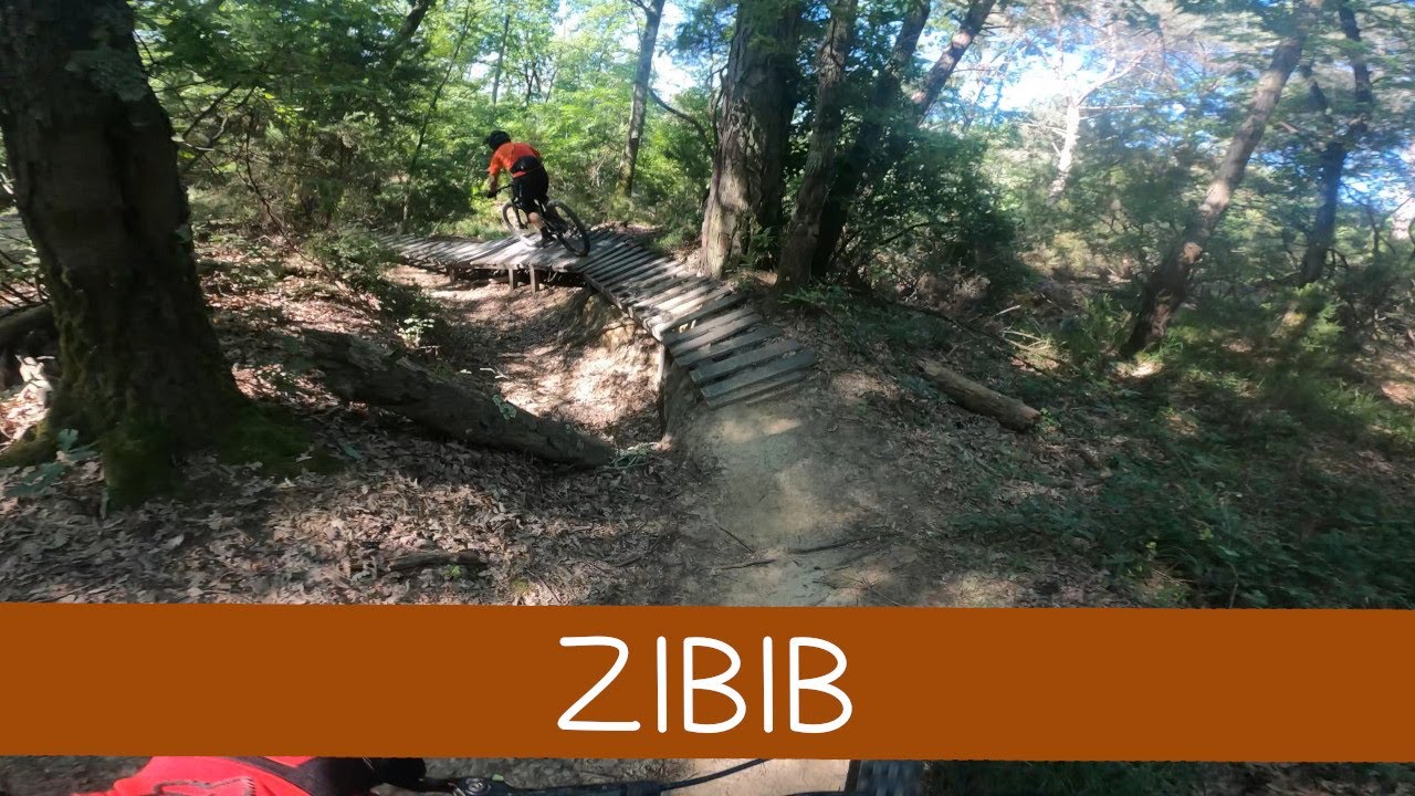 MTB Roveta 18.05.2024 sentiero ZIBIB - YouTube