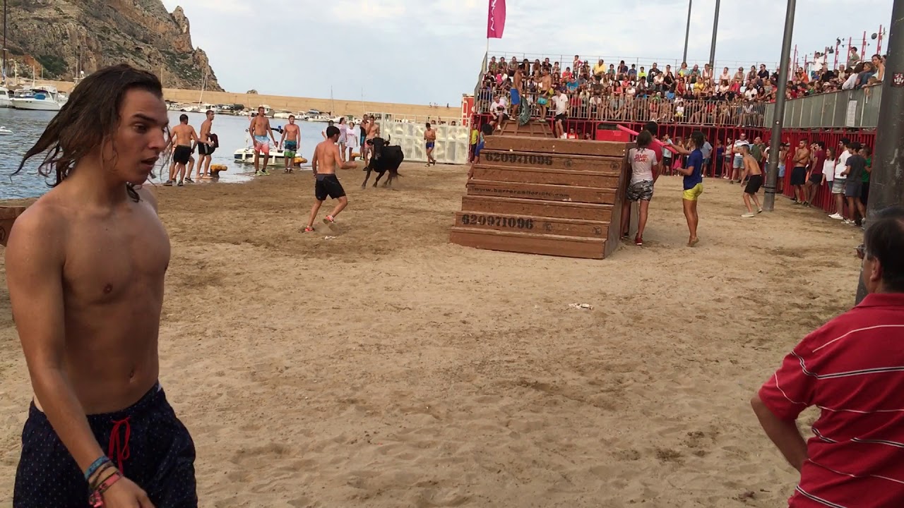 Tits and Bulls - Javea Port - YouTube