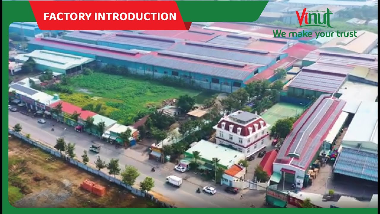 Vinut | Factory Introduction - YouTube