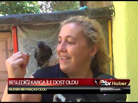 BESLEDİĞİ KARGA İLE DOST OLDU
