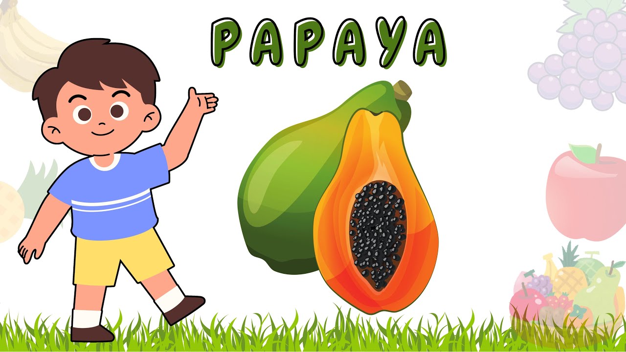 Meet the Papaya! | Fun Learning for Kids 🍈 - YouTube