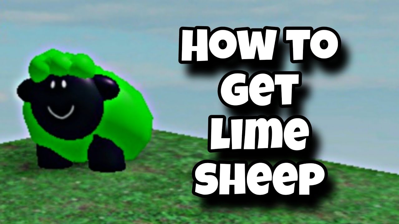 How to Get Lime Sheep in Find the Sheep Roblox | lime sheep - YouTube