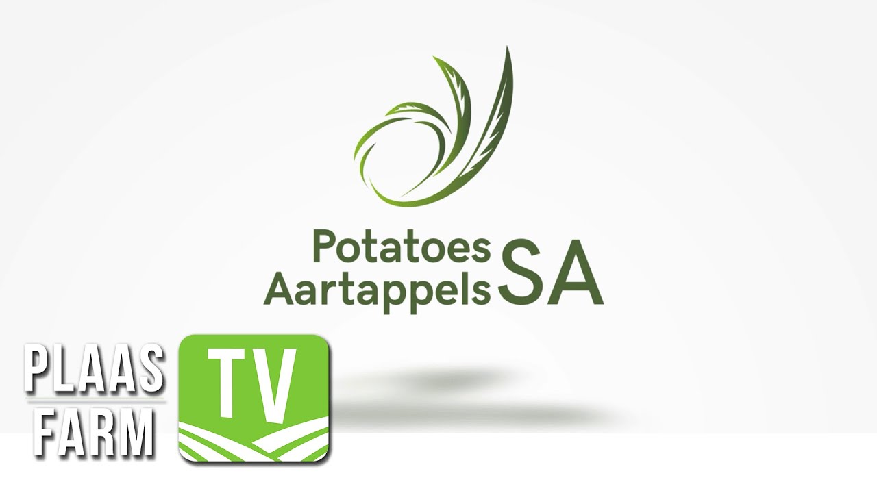 Martin Steyn - YouTube