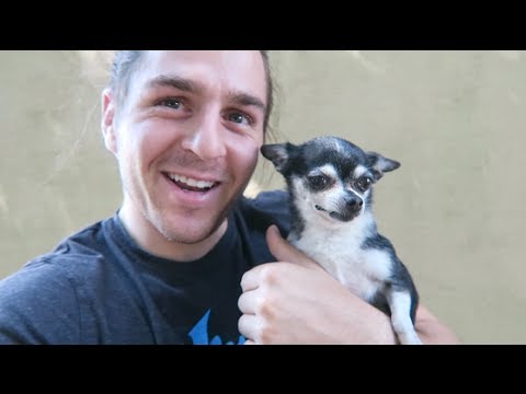 My Interview With Mr. Marbles - YouTube