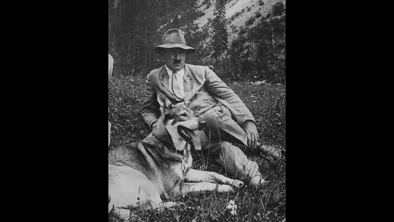 Adolf Hitler's dogs - YouTube