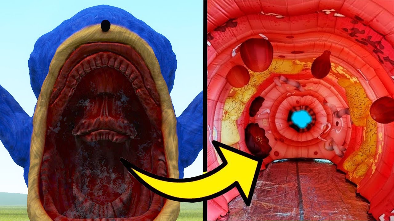 NEW WHAT'S INSIDE THE SONIC SEA EATER TAPES In Garry's Mod !? - YouTube