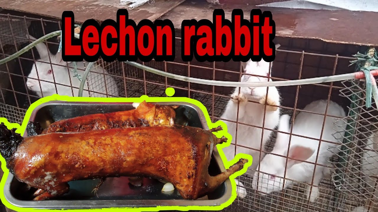 Paano mag Lechon Ng rabbit 🐇 watch this video 👆 - YouTube
