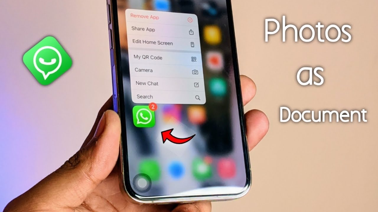 How To Send Photos As Document In IPhone In WhatsApp Send Photos As Document In WhatsApp In how-to-send-photos-as-document-in-iphone-in-whatsapp-send-photos-as-document-in-whatsapp-in