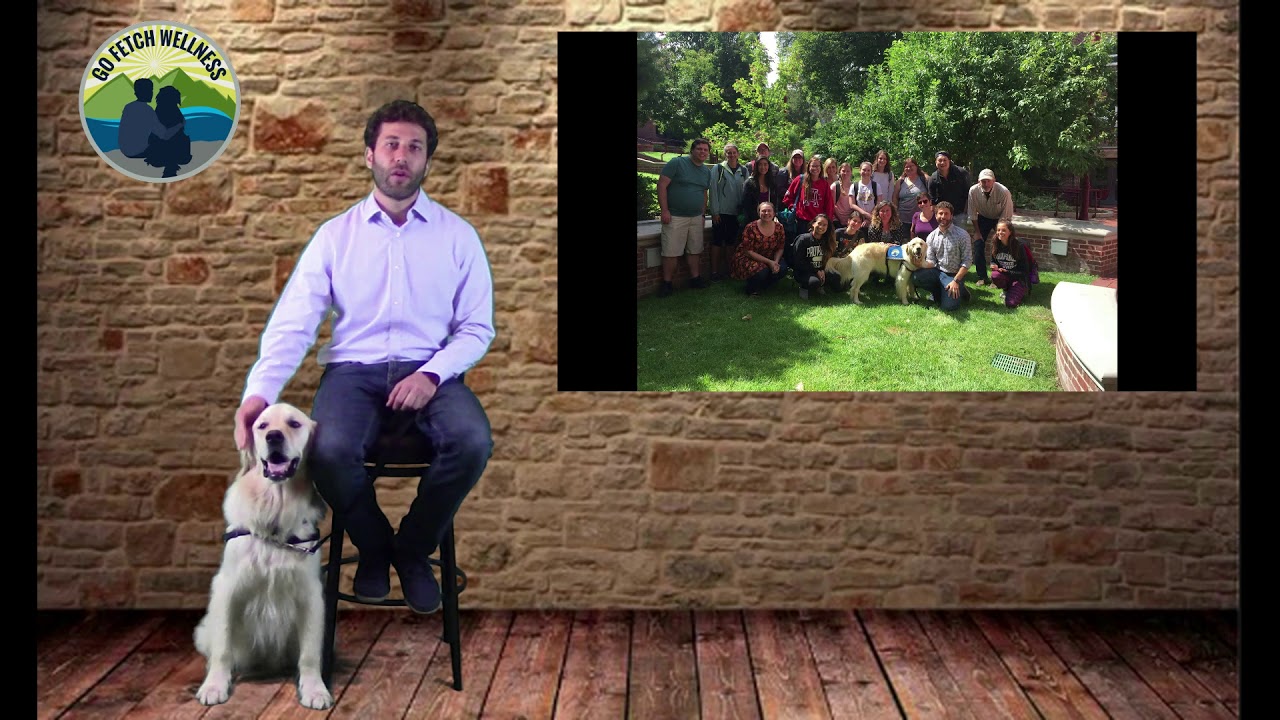 Go Fetch Wellness - YouTube