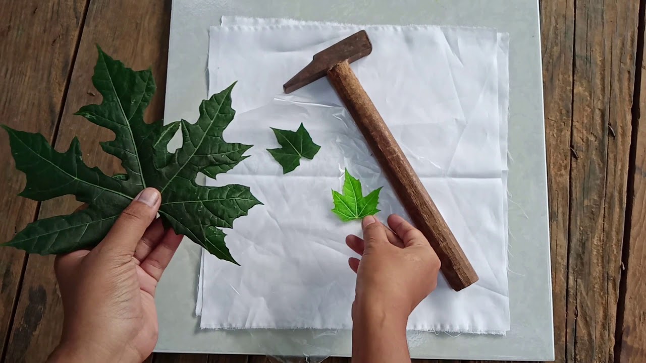 ECOPRINT SEDERHANA DENGAN TEKNIK POUNDING - YouTube