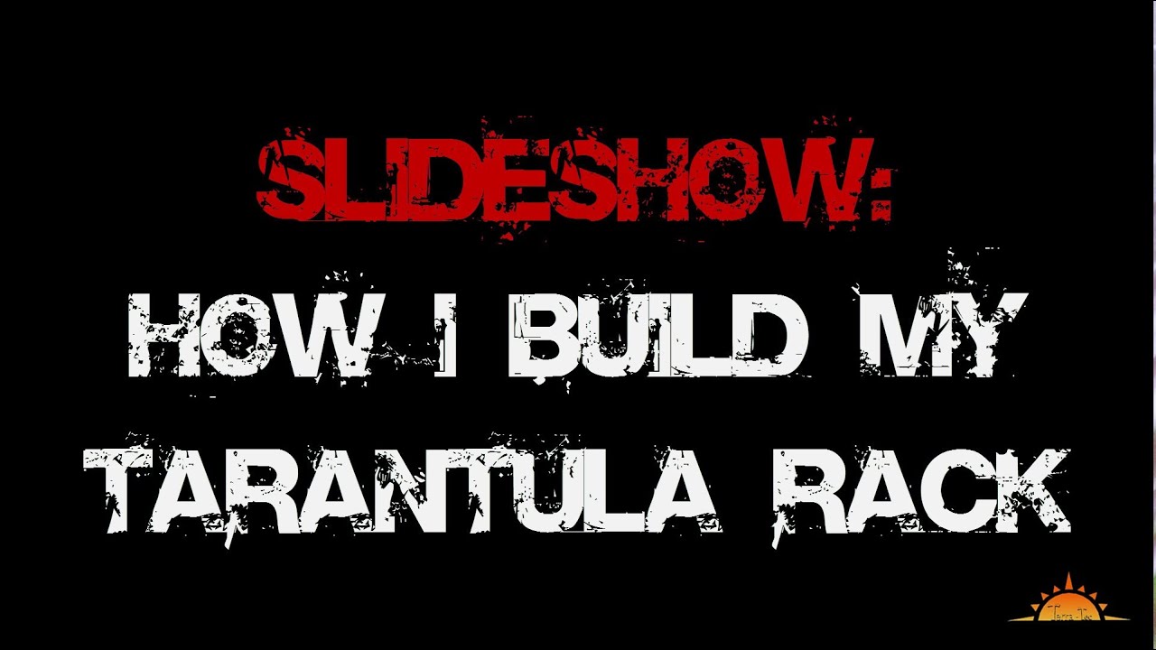 "Vogelspinnen Regal" Bau Tutorial "Tarantula Rack" [HD] Terra-Tec - YouTube
