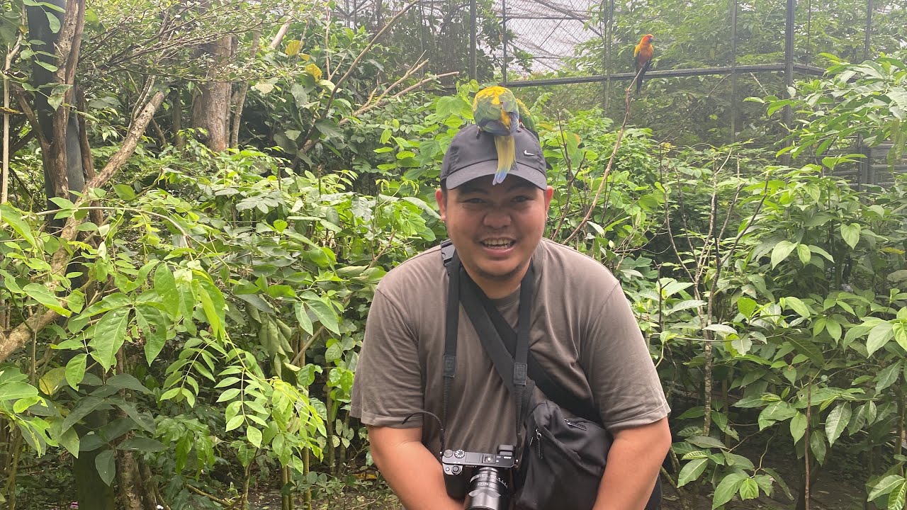 Cebu Safari - Birds of the World - YouTube