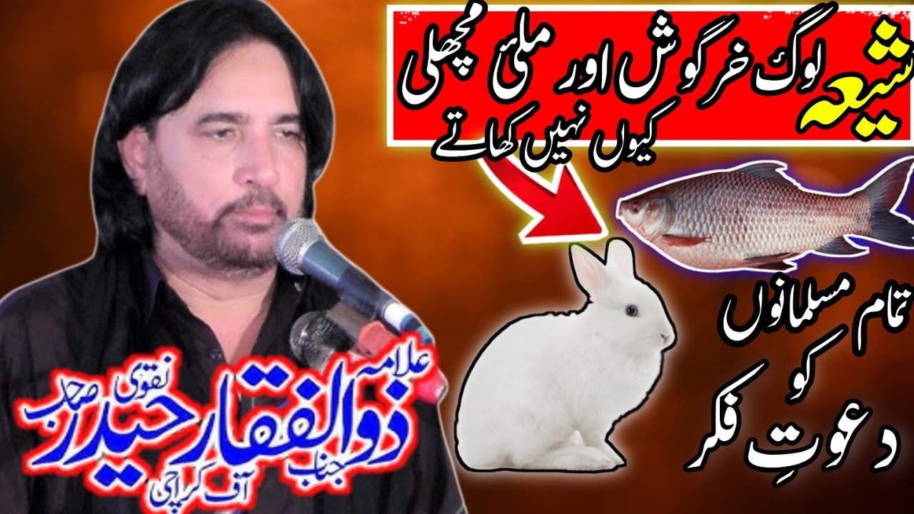 Allma Syed Zulfqar Haider Naqvi Majlis Shia Rabbit Or Fish Qun Ni Khaty allma-syed-zulfqar-haider-naqvi-majlis-shia-rabbit-or-fish-qun-ni-khaty